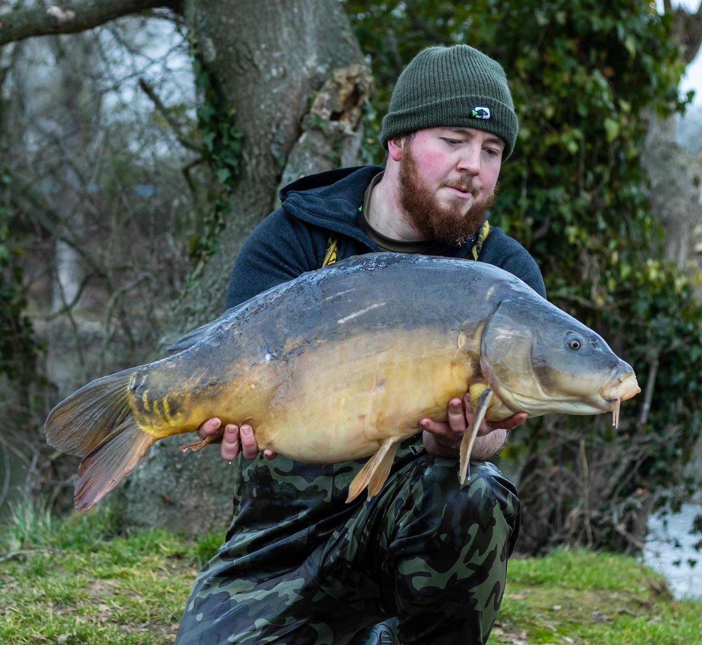 Colossus | Total Carp
